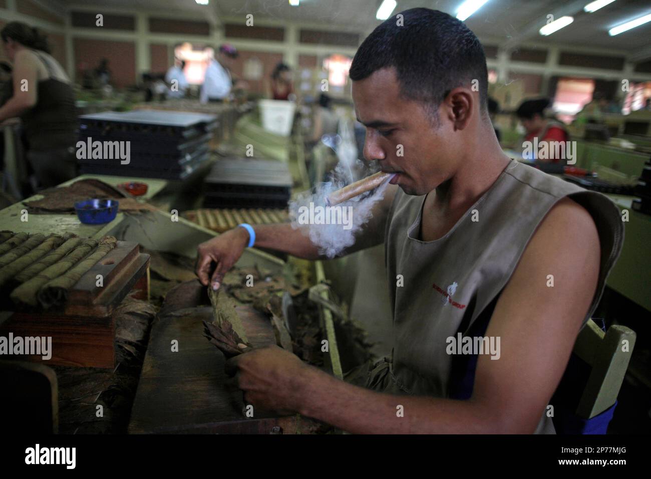 A worker smokes a cigar while rolling cigars at the at the Scandinavian ...