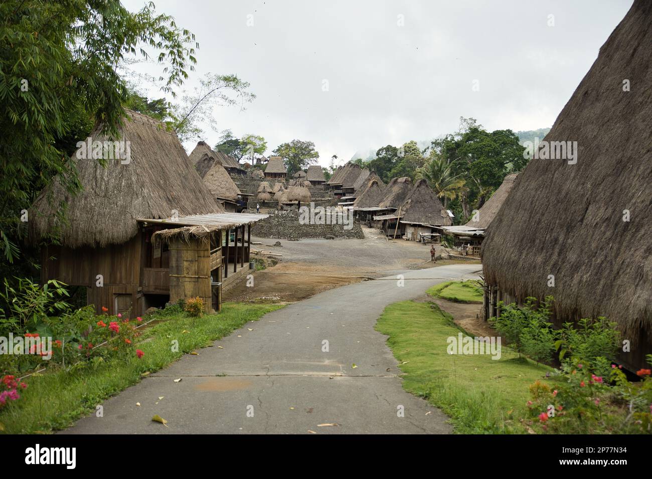 The traditional Bena Village on Flores, in the center a path leading to ...