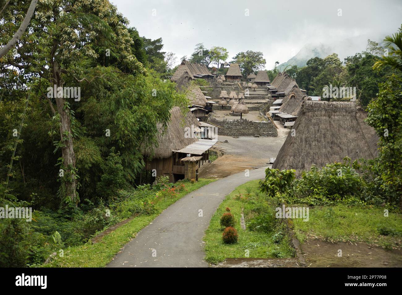 The traditional Bena Village on Flores, in the center a path leading to ...