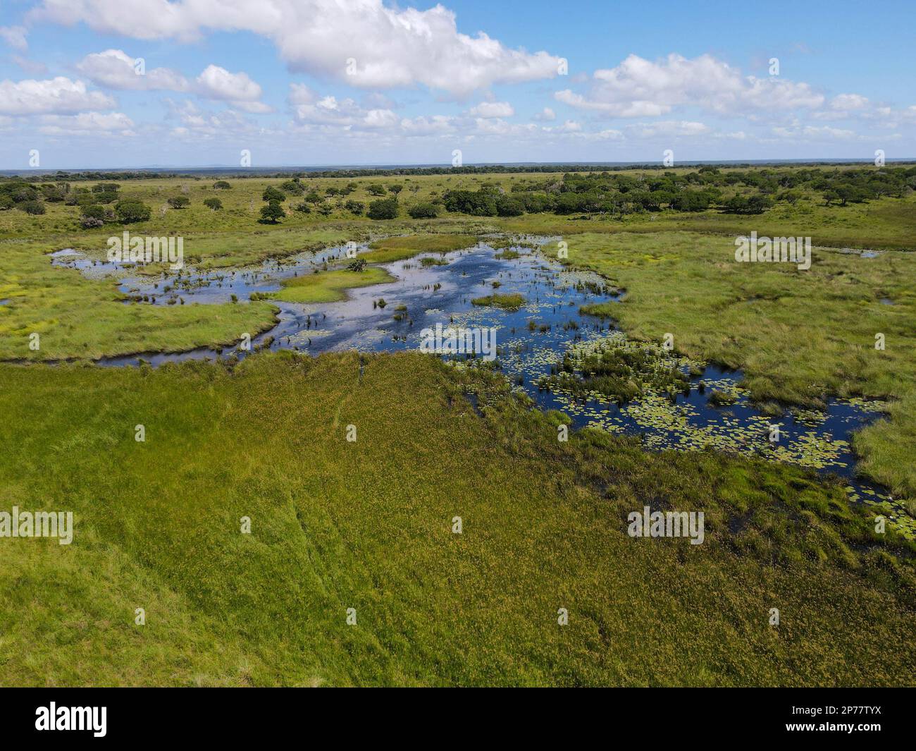 Landscape of Isimangaliso wetland park in South Africa Stock Photo - Alamy