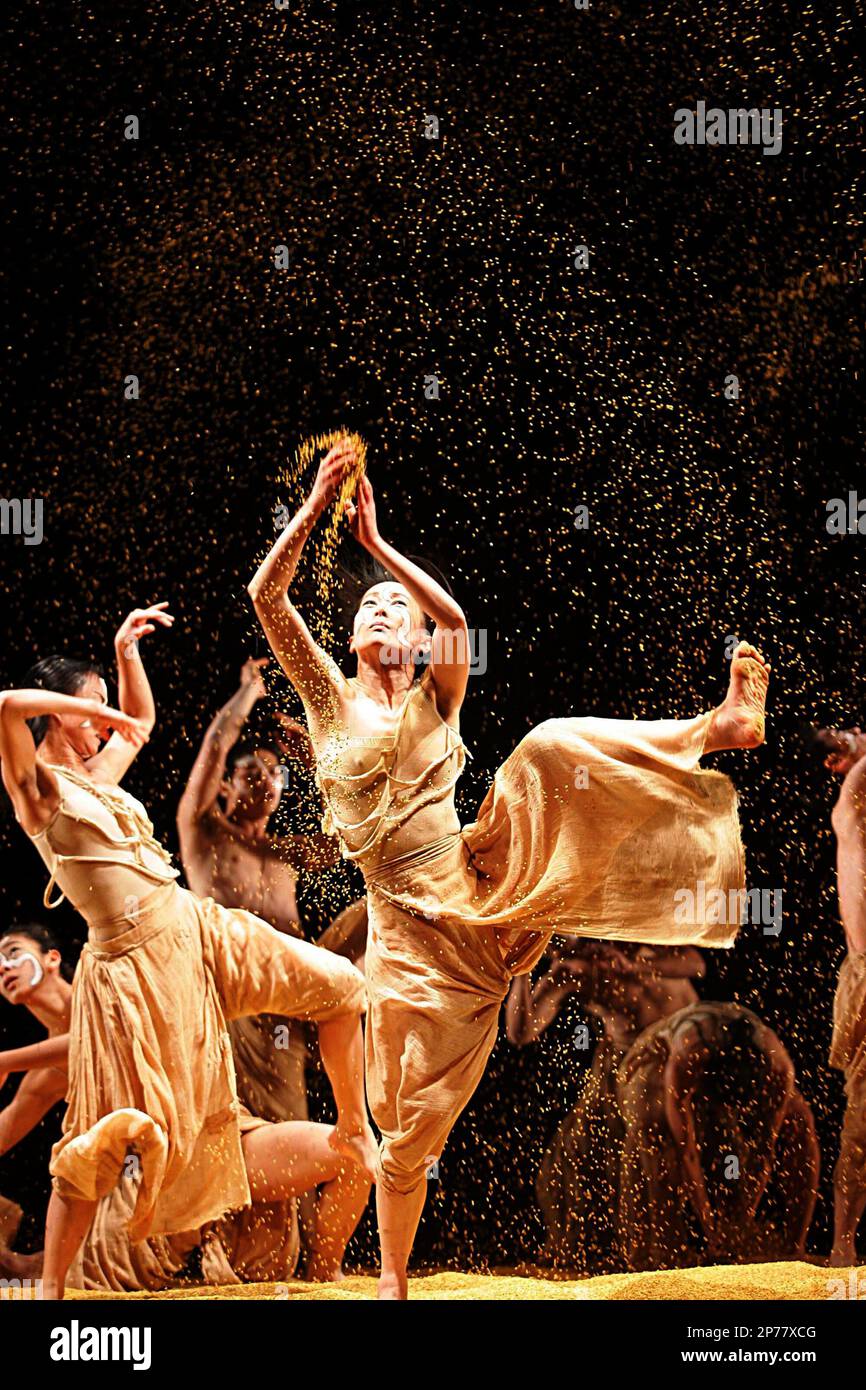 Artists of Cloud Gate Dance Theatre dance amid golden rice during the drama 'Songs of the ...