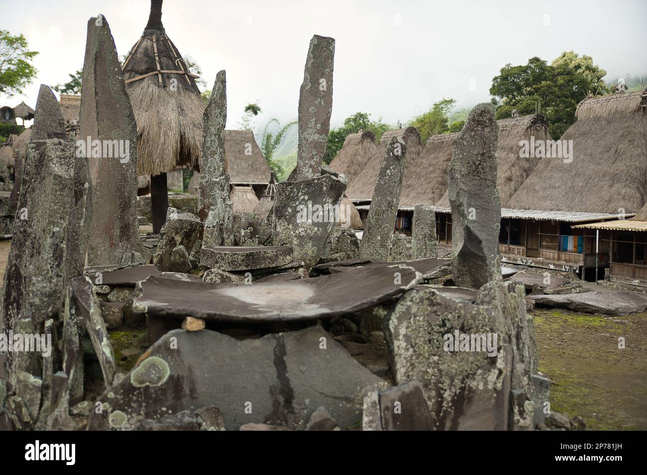 The traditional Bena Village on Flores, in focus a stone sculpture ...