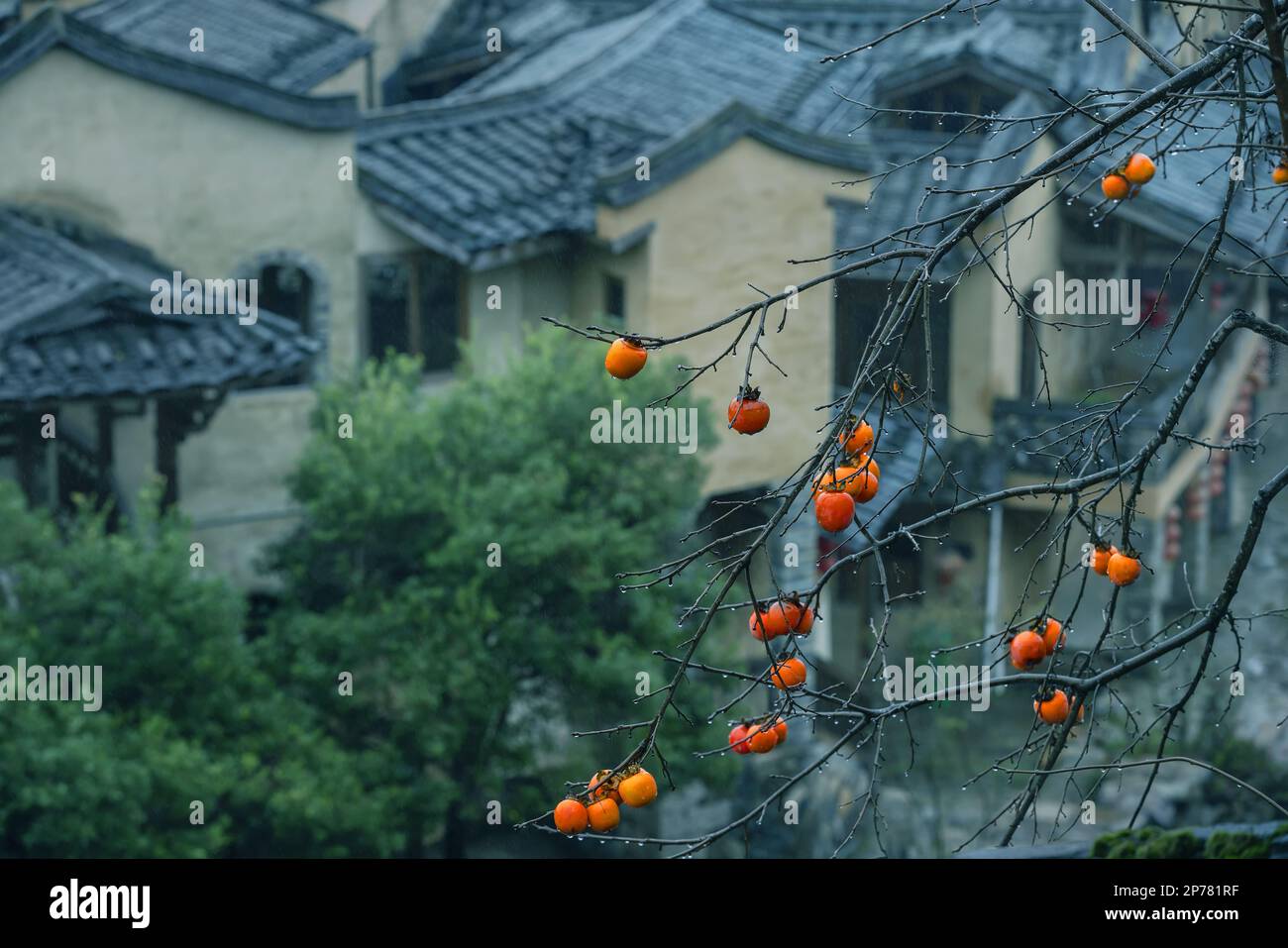 Four ping village hi-res stock photography and images - Alamy