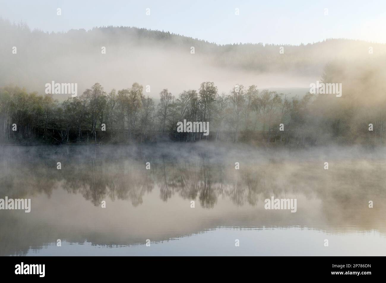 Mist rising above forest landscape hi-res stock photography and images ...