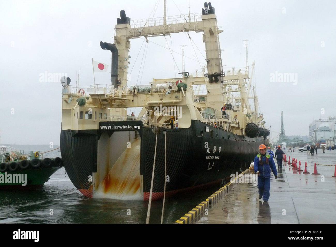 Nisshin Maru Processing