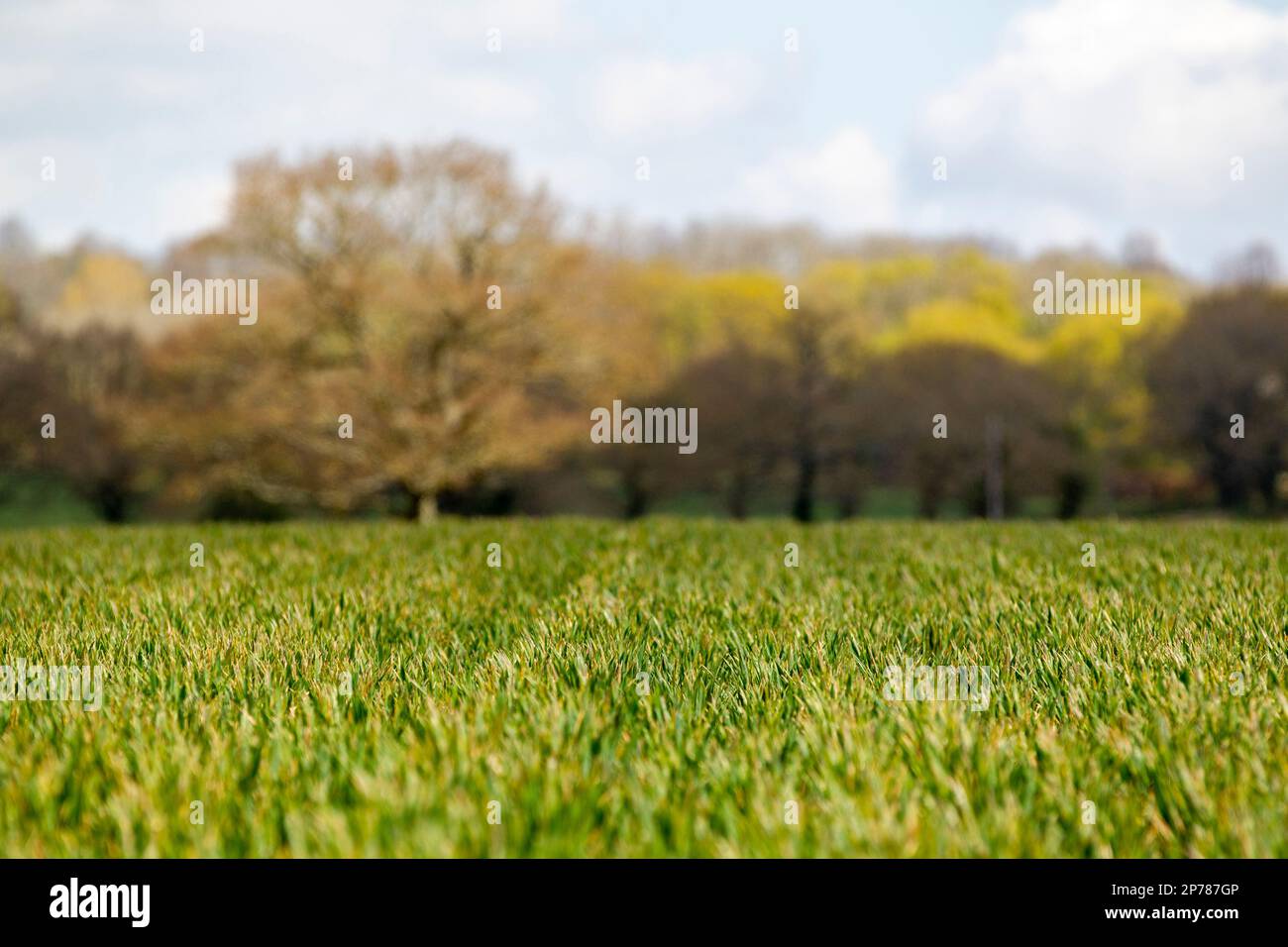 Green farming england hi-res stock photography and images - Alamy