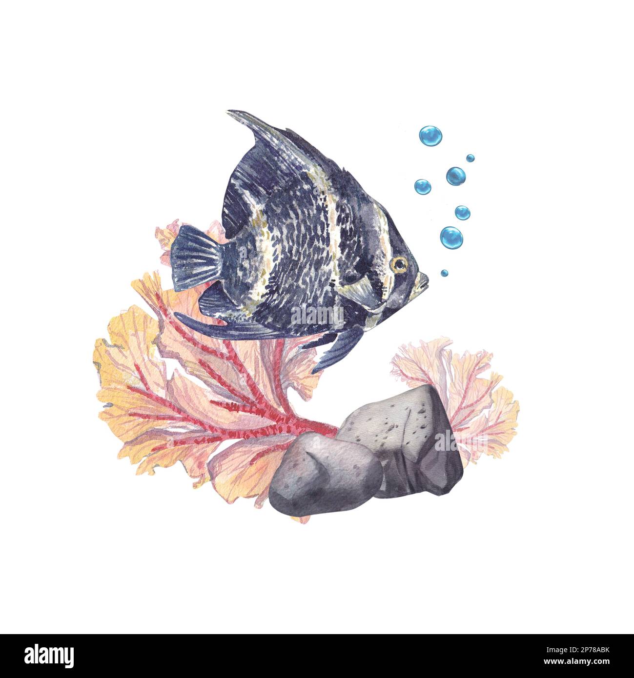 Cute tropical fish on a background of pink corals with bubbles on a ...