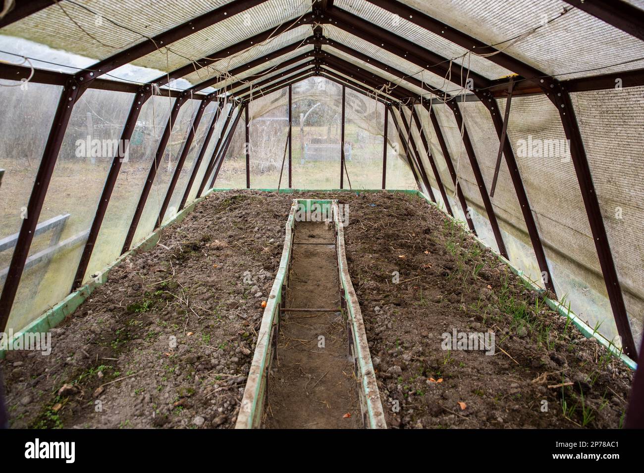 A rural greenhouse with a metal frame encompasses a narrow pathway ...