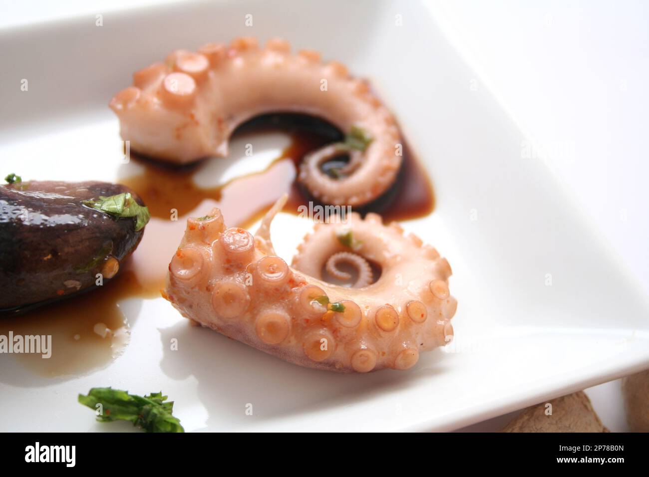 Chinese mollusks hi-res stock photography and images - Alamy