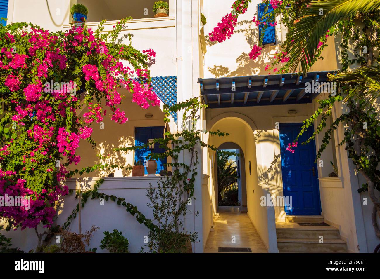 Pretty traditional house with beautiful flowering shrubs in front in ...