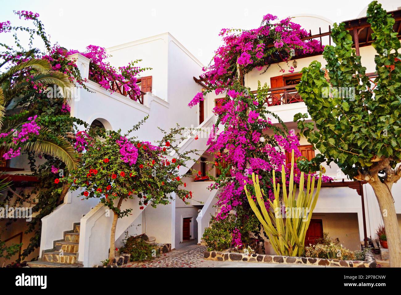 Pretty traditional house with beautiful flowering shrubs in front in ...