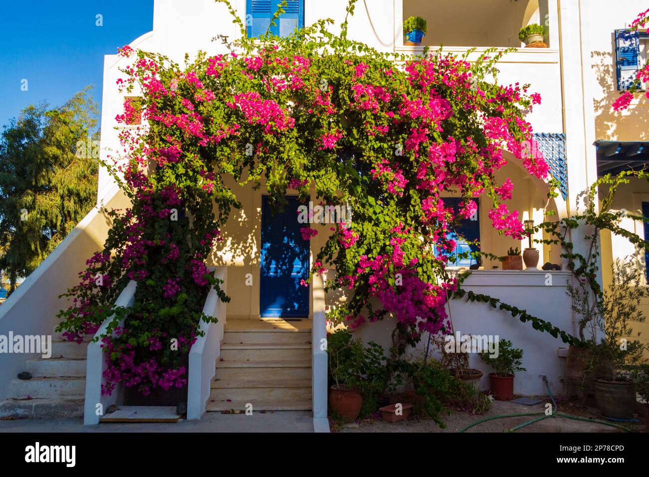 Pretty traditional house with beautiful flowering shrubs in front in ...