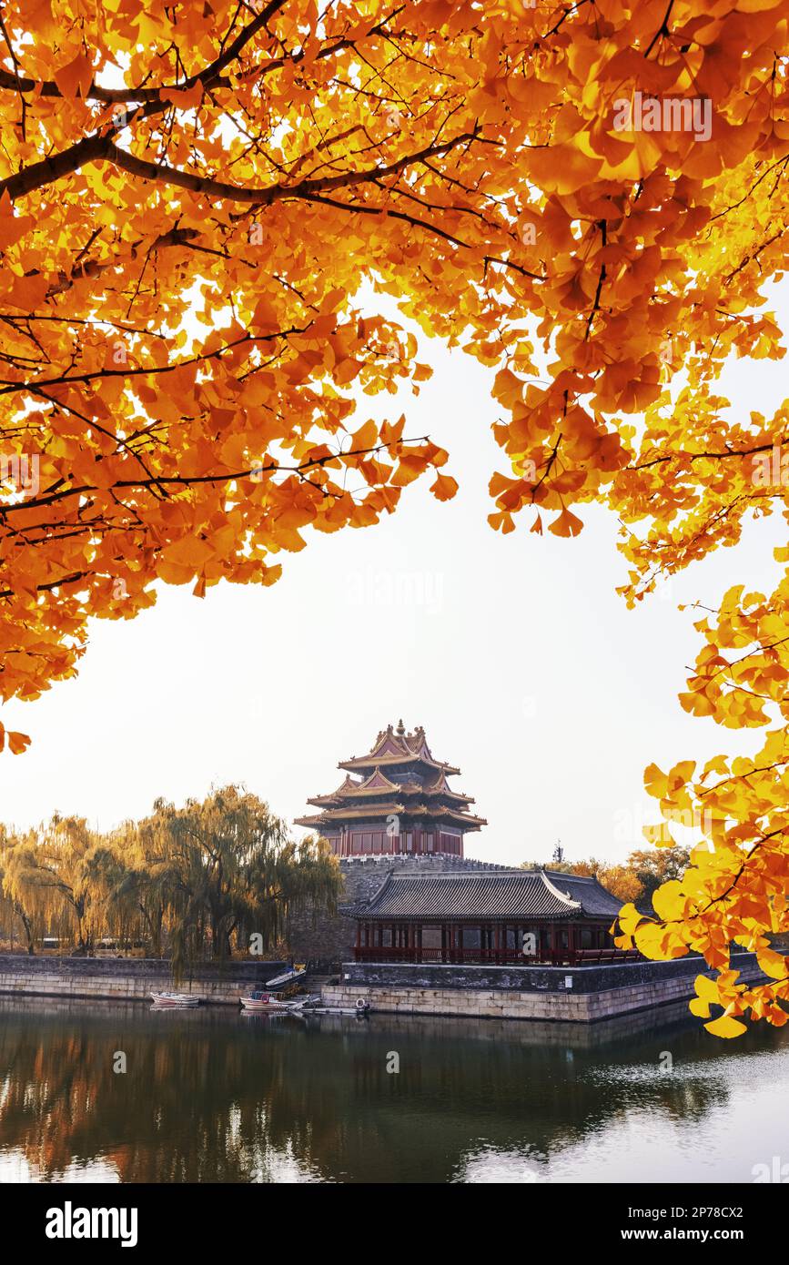 Autumn Scenery of the Palace Museum Corner Tower Stock Photo - Alamy