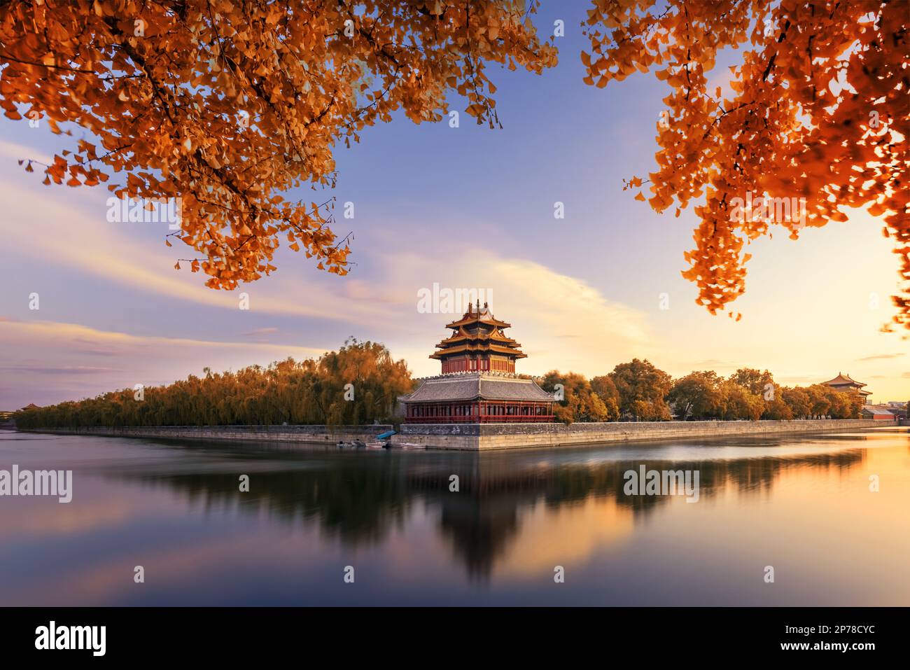 Ginkgo museum hi-res stock photography and images - Alamy