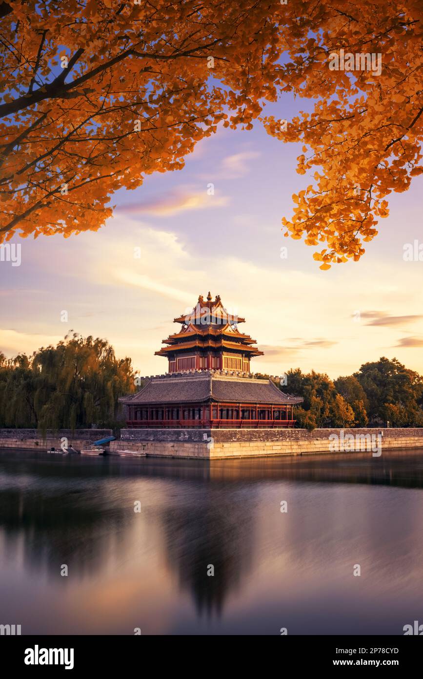 Ginkgo museum hi-res stock photography and images - Alamy