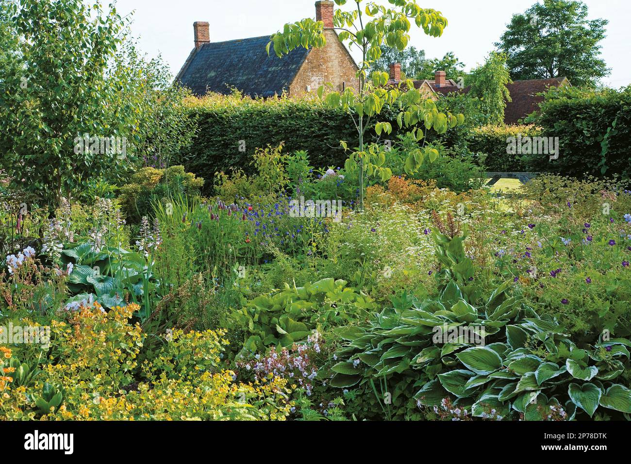 English cottage garden border Stock Photo - Alamy