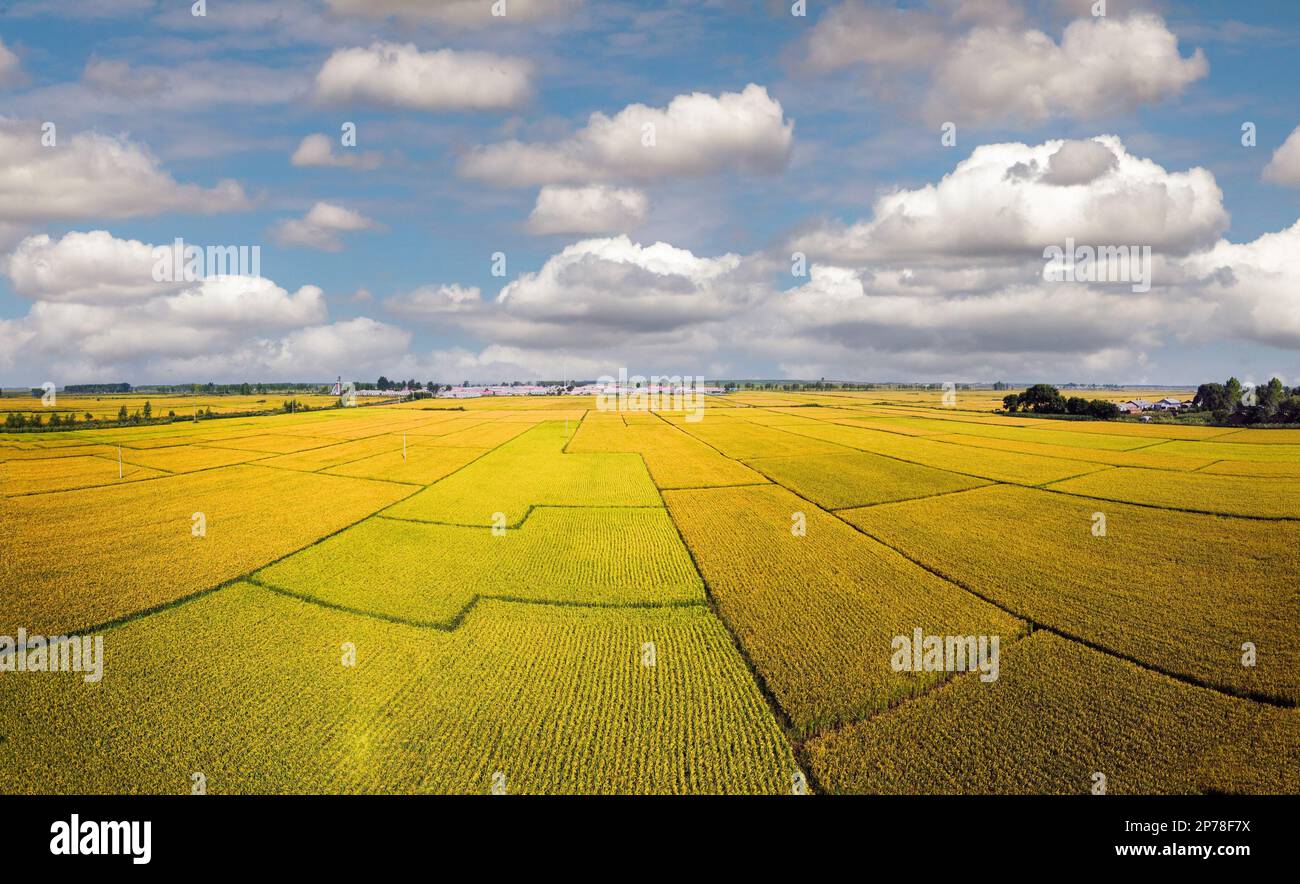 Heilongjiang plain hi-res stock photography and images - Alamy
