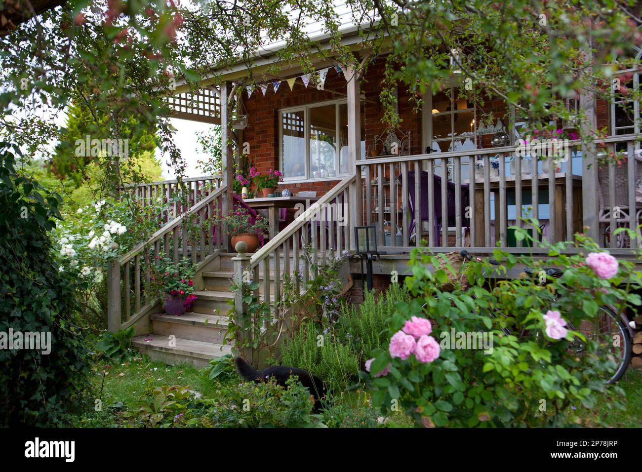 Raised wooden decking area with steps and outdoor seating, surrounded ...