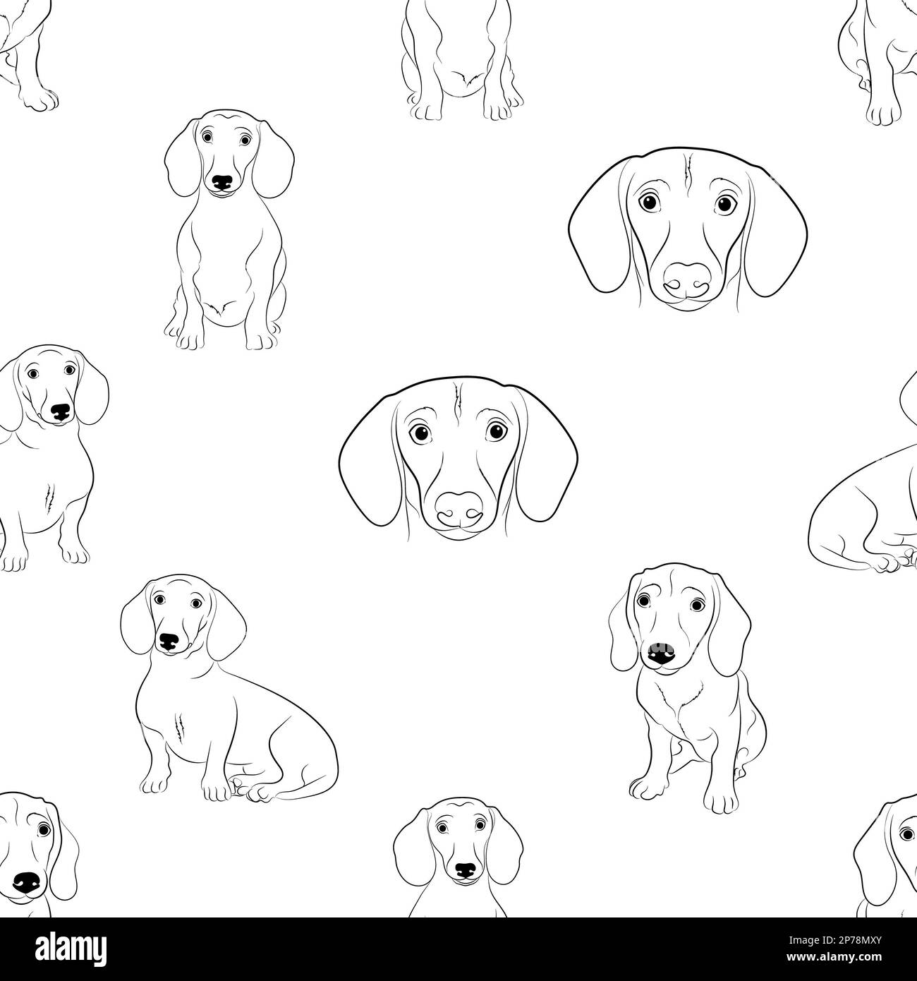 Black Wiener Dog Drawing