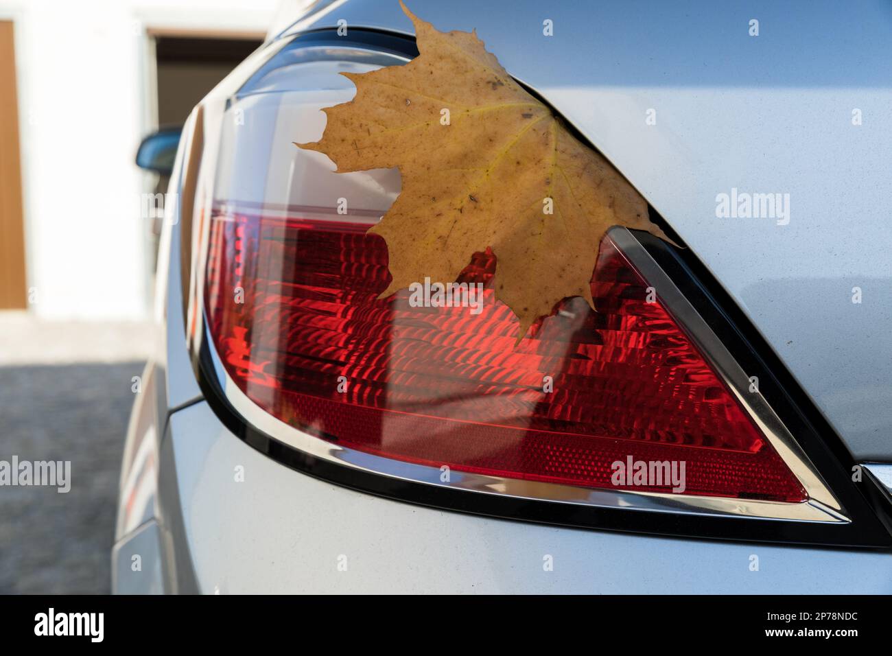 Dry maple leaf on the rear light of the car Stock Photo - Alamy