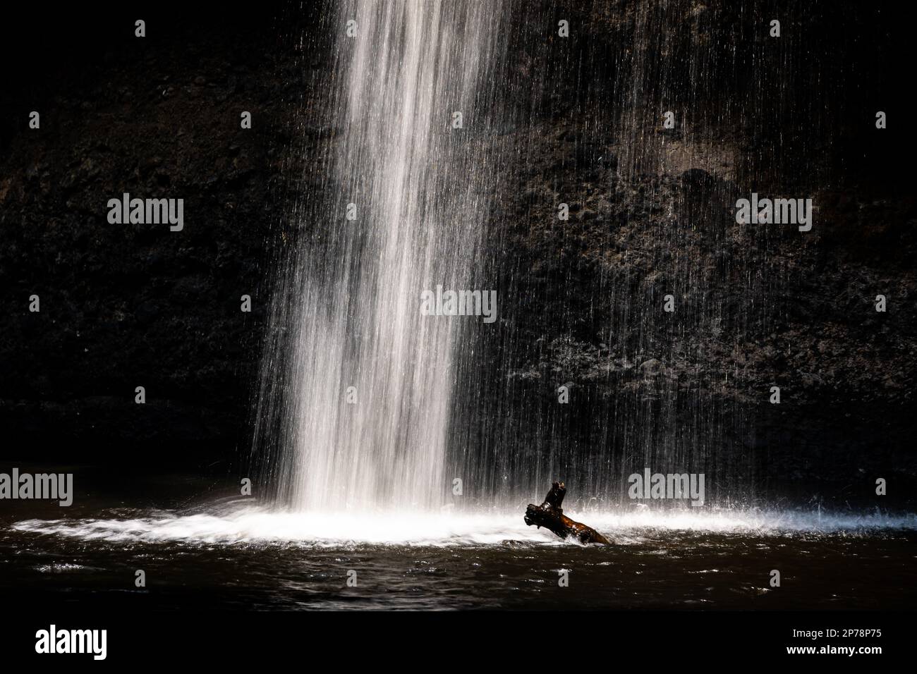 Long speed shutter technique of splashing waterfall drop on pond with ...
