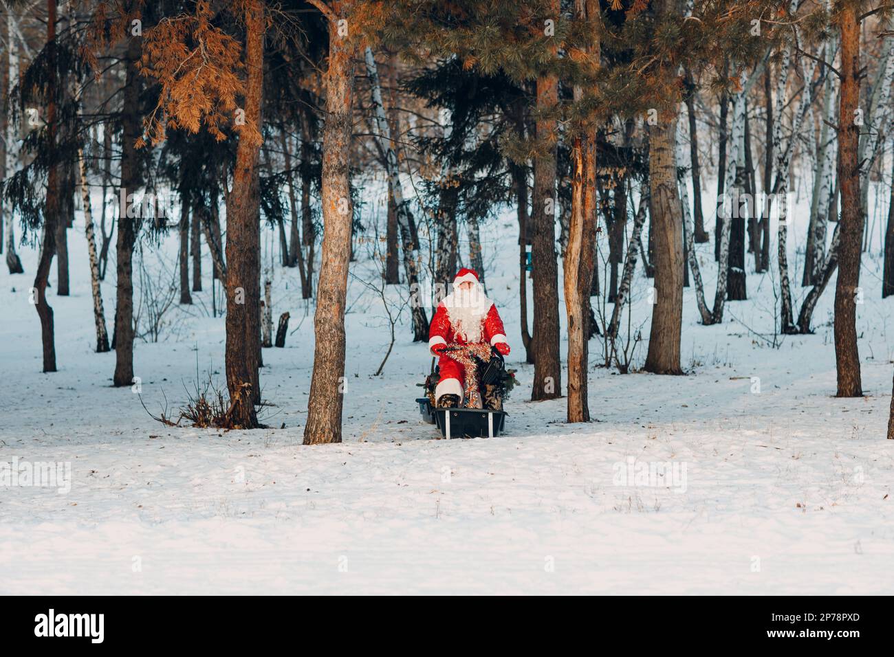 Santa riding bike forest hi-res stock photography and images - Alamy