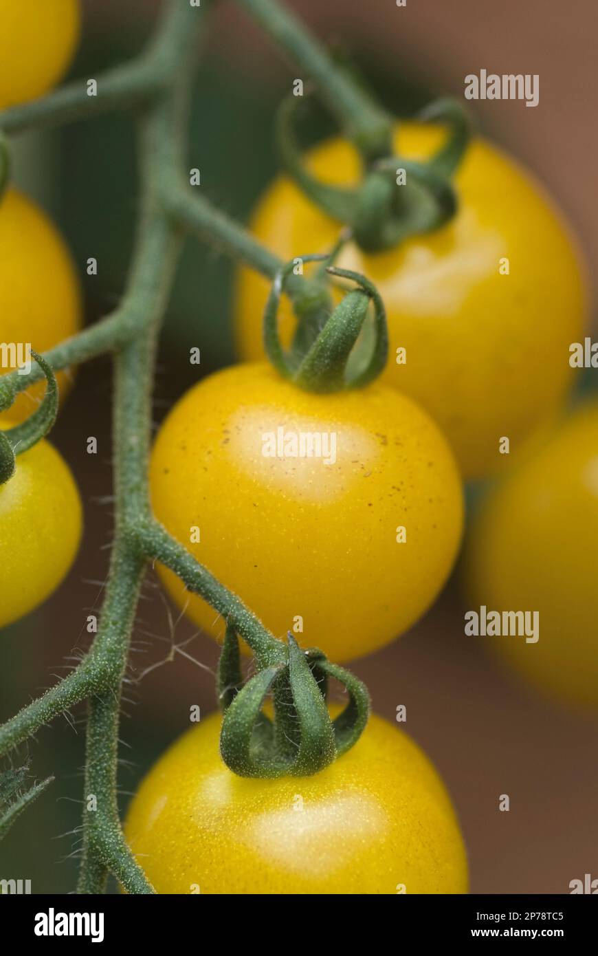 Sunbaby hi-res stock photography and images - Alamy