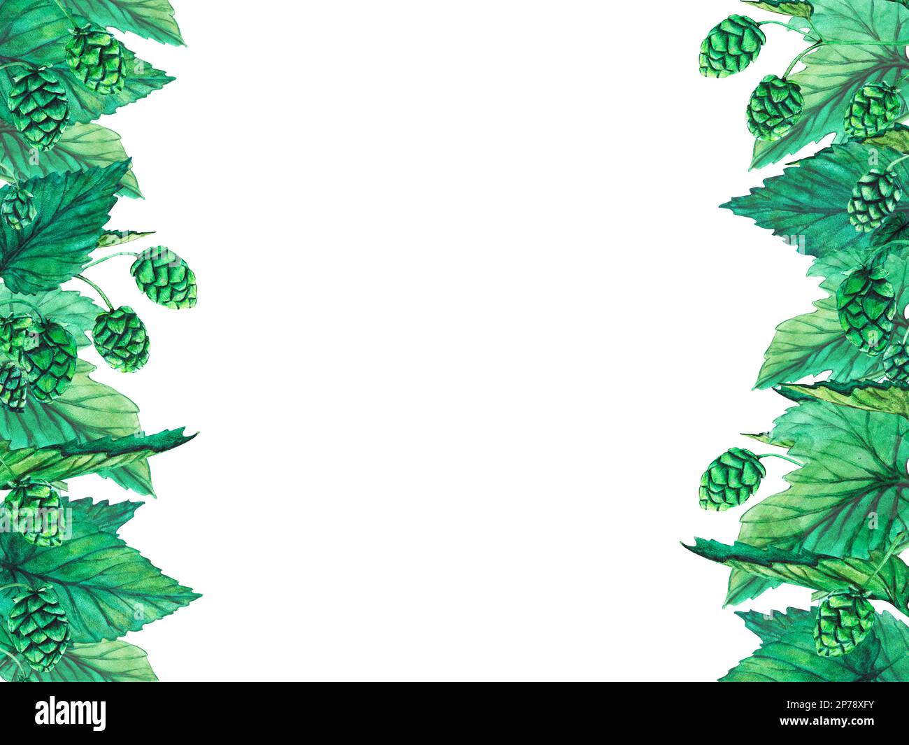 Fresh green hop border. Watercolor hand drawn illustration for ...