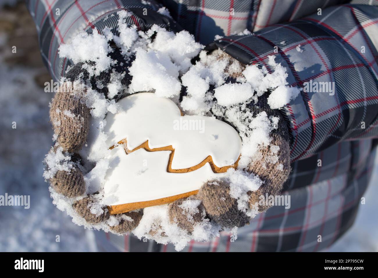 In hands the boy keeps the heart of cookies in winter gloves Stock ...