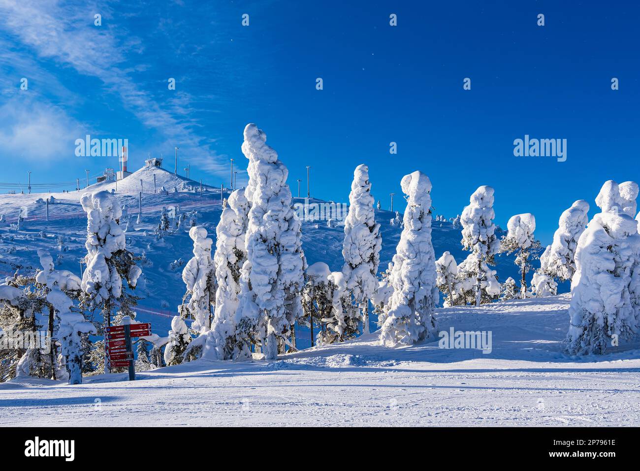 Landscape With Snow In Winter In Ruka, Finland Stock Photo - Alamy