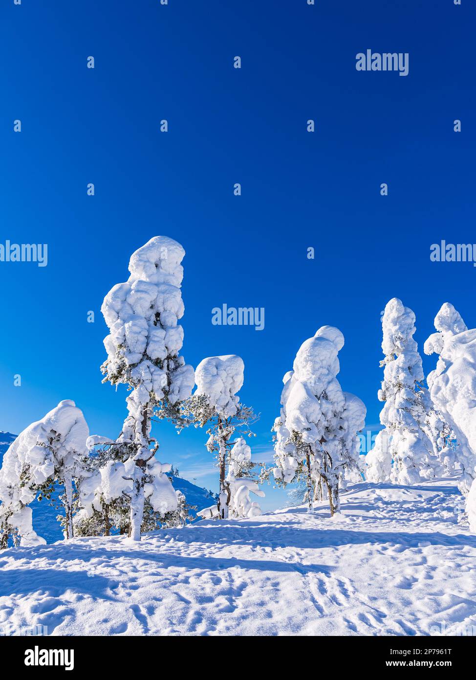 Landscape With Snow In Winter In Ruka, Finland Stock Photo - Alamy