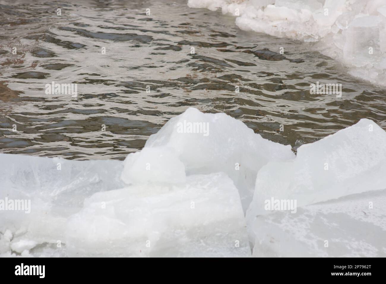 The pond in winter is freezing water Stock Photo - Alamy