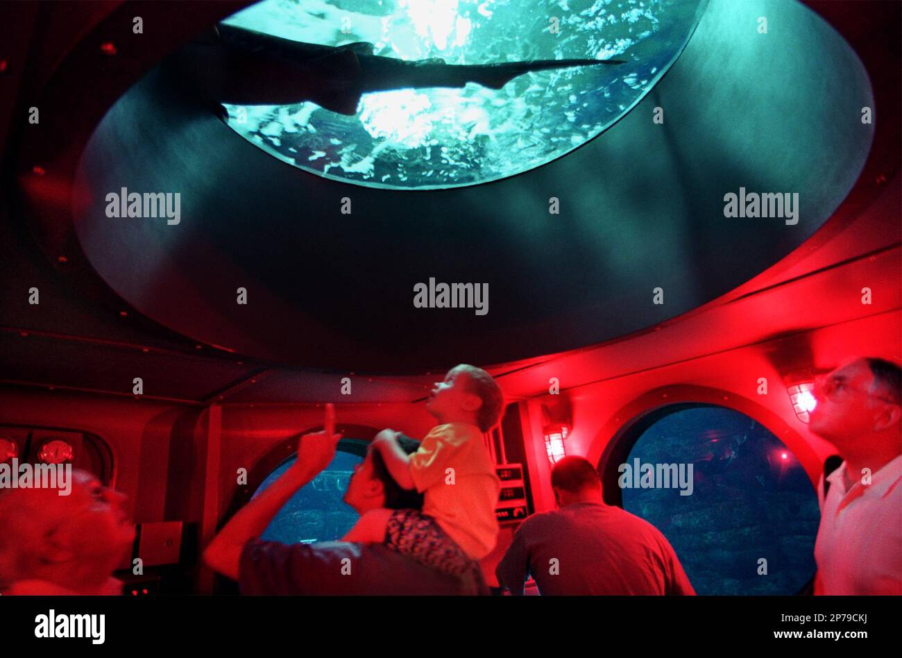 Doug Tweedy, 19, from Lynchburg, Virginia, points upwards as his little ...