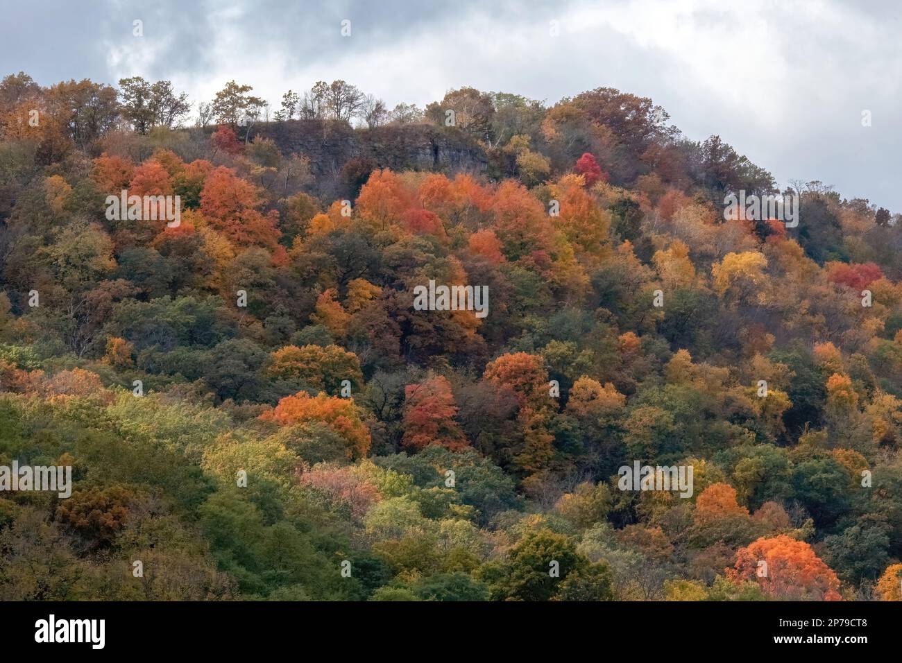 Autumn colored leaves on the trees on the tall bluffs surrounding ...