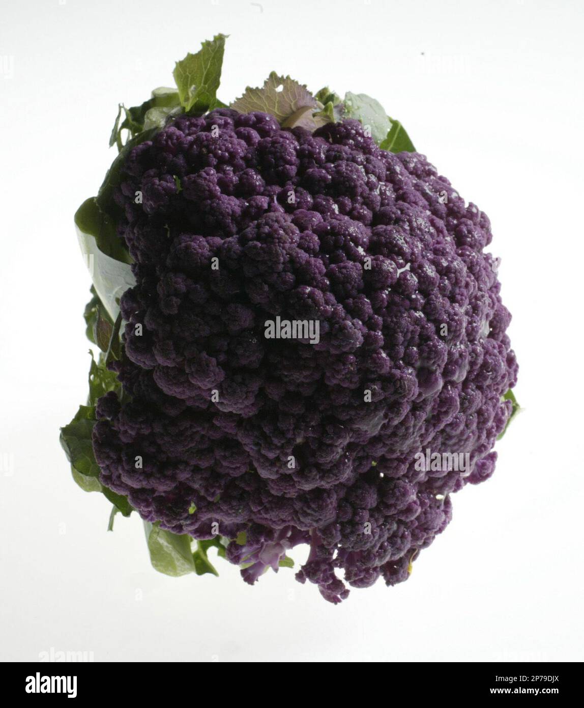 Graffiti cauliflower was shot in studio. (AP Photo/Houston Chronicle ...
