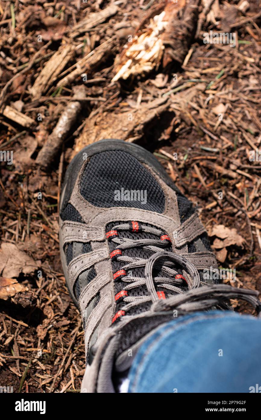 Used outdoor hiking boot with laces on the ground in the forest daytime ...