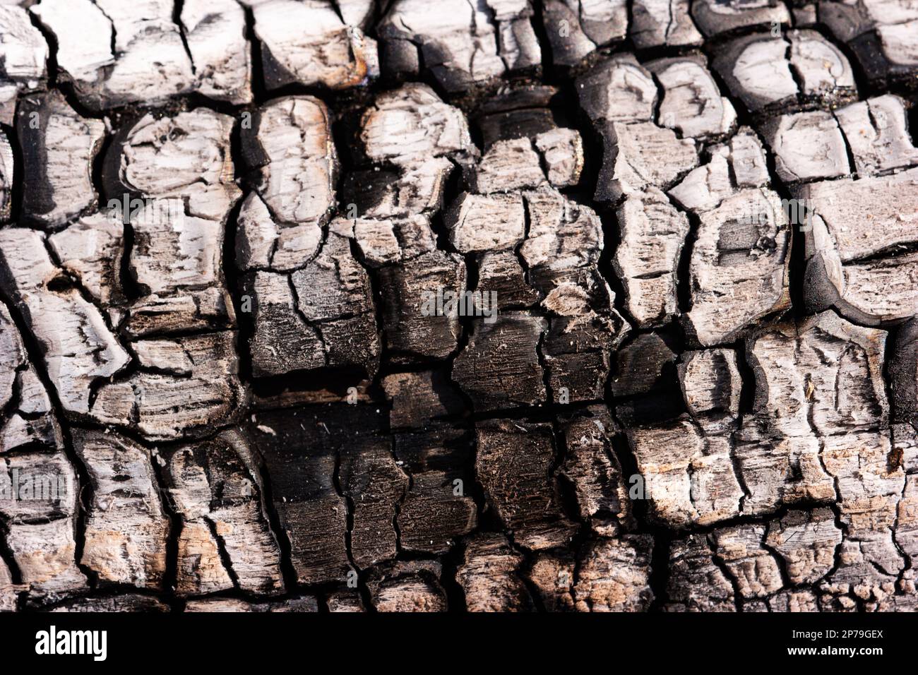 Charred piece hi-res stock photography and images - Alamy