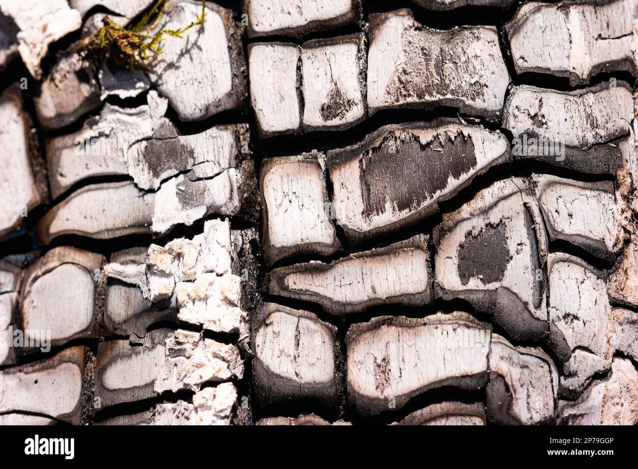 Charred piece hi-res stock photography and images - Alamy