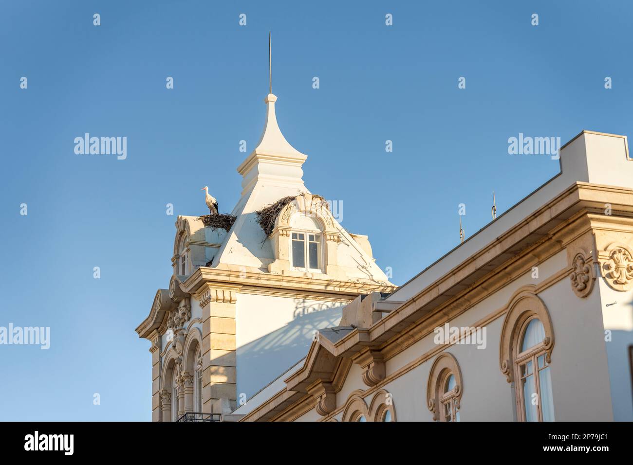 Stork on the tower of Belmarco Palace - landmark in Faro, Algarve ...