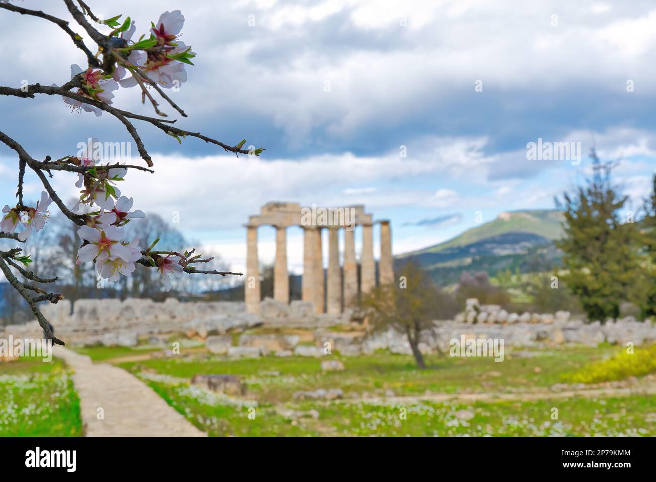 Doric style columns and ruins from Temple of ancient Greece. temple of ...
