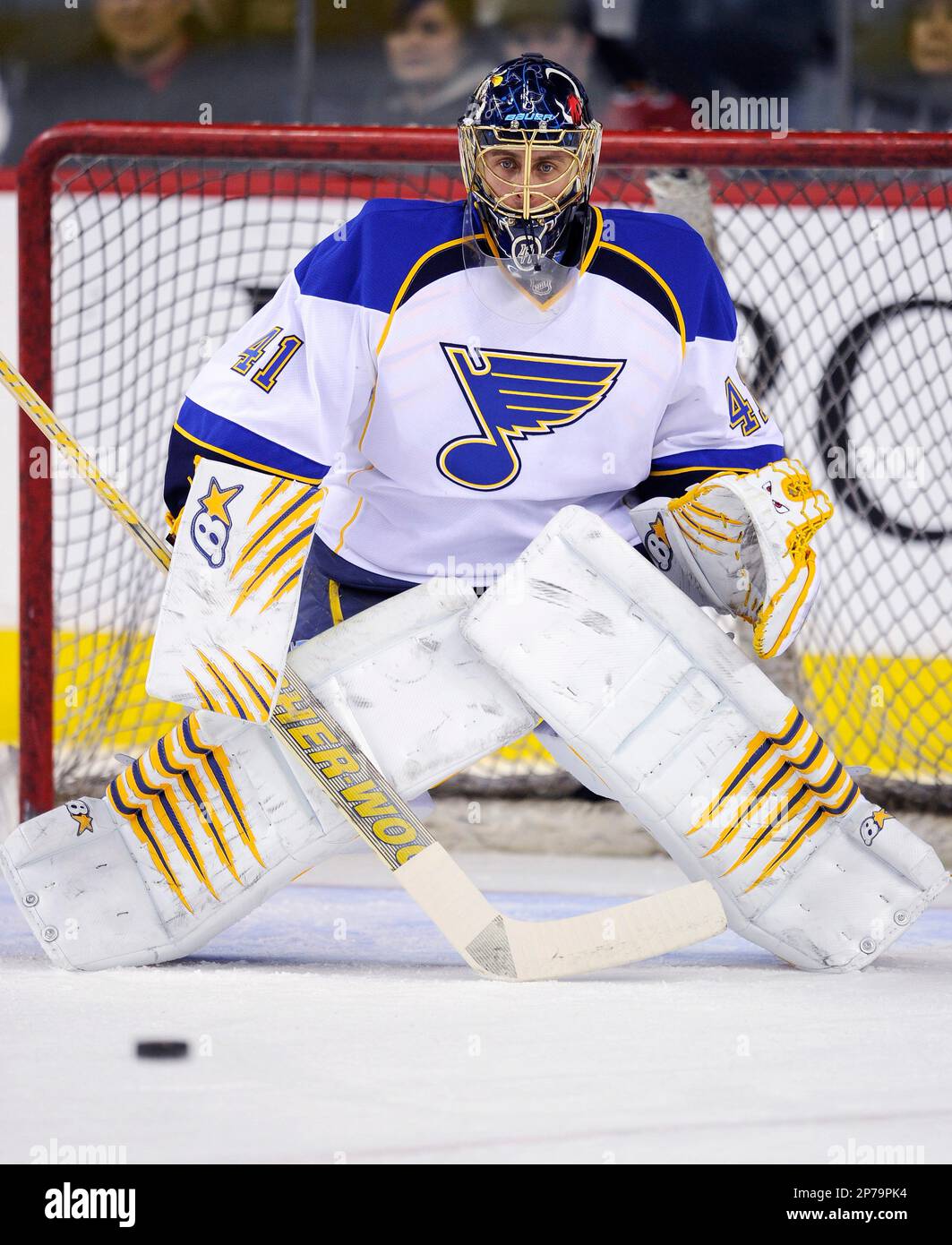 NHL player profile photo on St. Louis Blues' goalie Jaroslav Halak ...