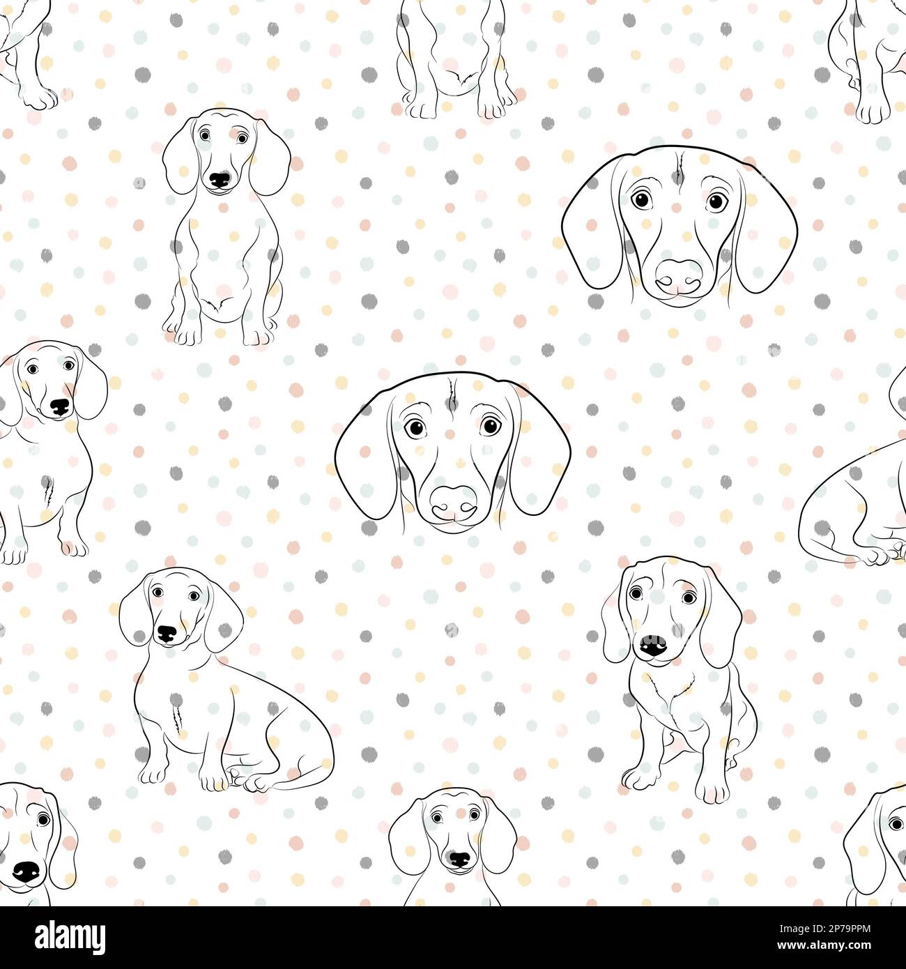 Seamless pattern cute dachshunds Cut Out Stock Images & Pictures - Alamy