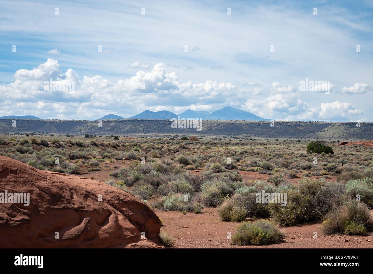 An idyllic rural landscape with a lush green field and distant clouds ...