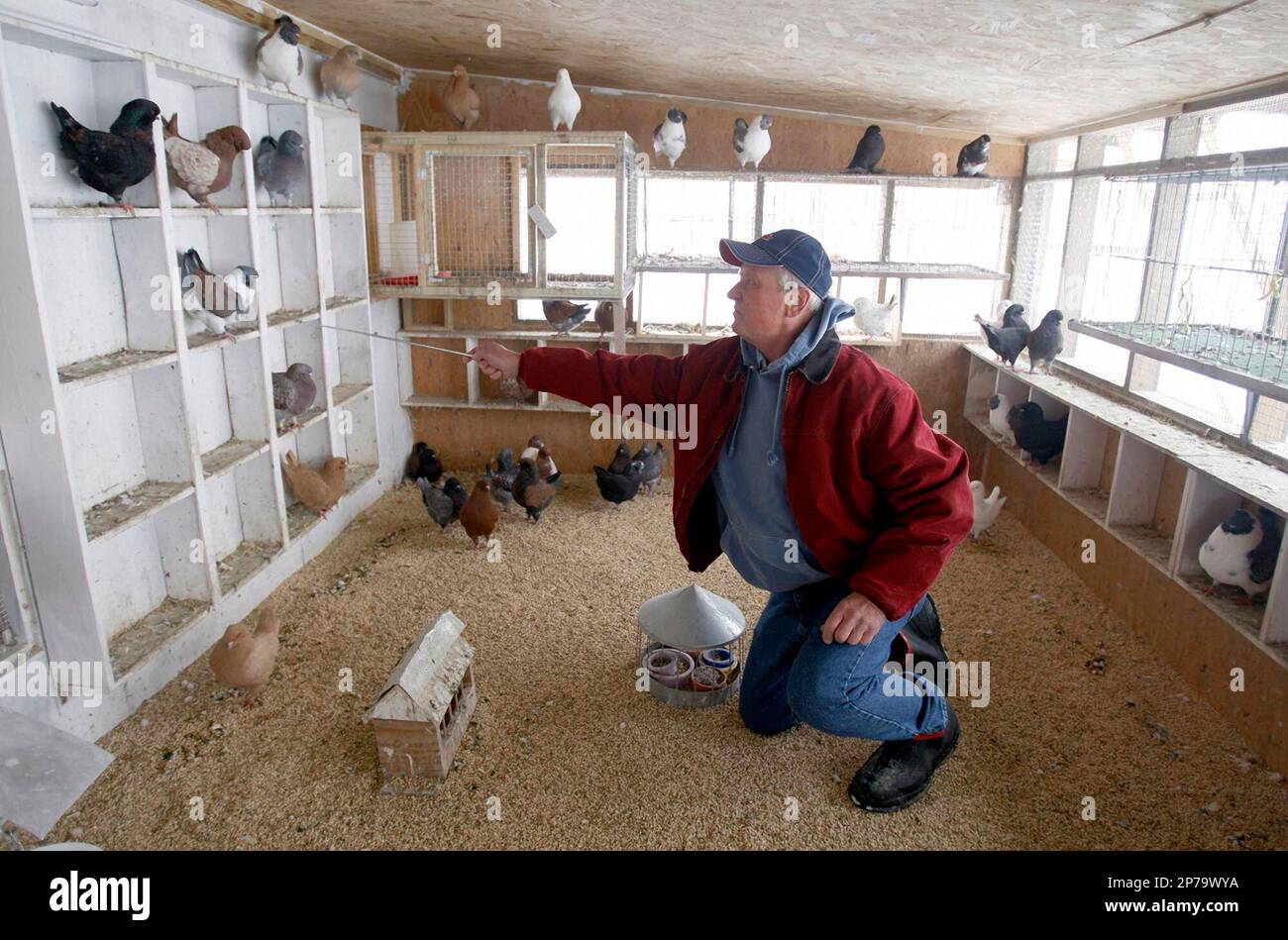 ** ADVANCE FOR WEEKEND EDITIONS JAN. 29-30 ** In this Jan. 20, 2011 ...