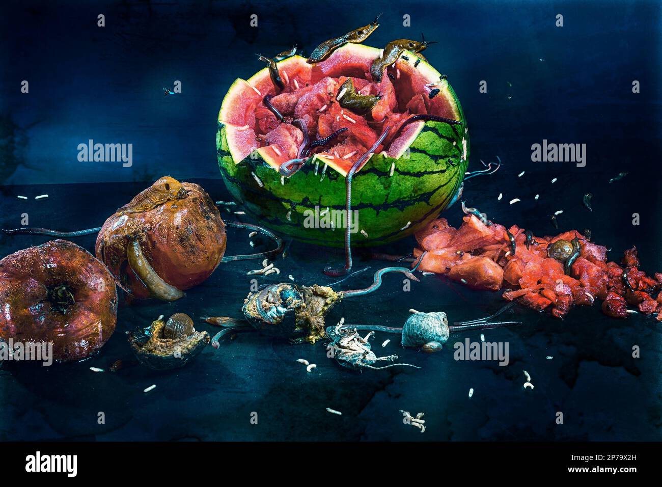 A fresh and vibrant collection of fruits and insects arranged on a ...