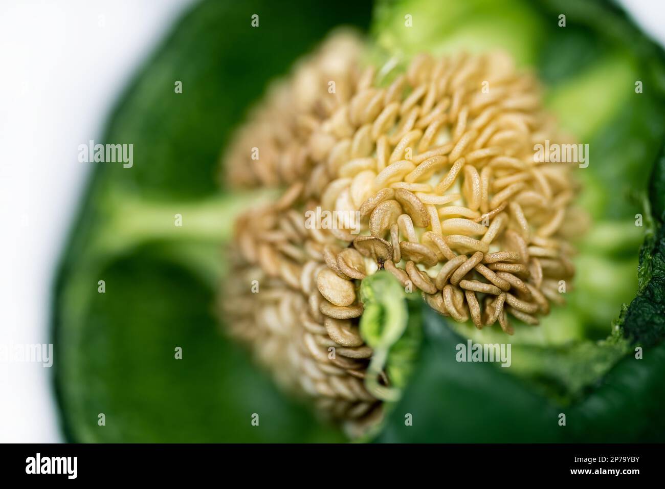 Close up pepper seeds inside hi-res stock photography and images - Alamy