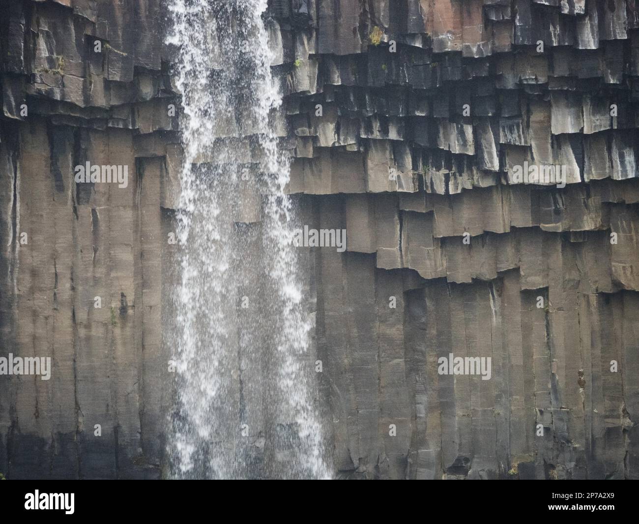 Svartifoss waterfall, Storilaekur river falling over a ledge of basalt ...