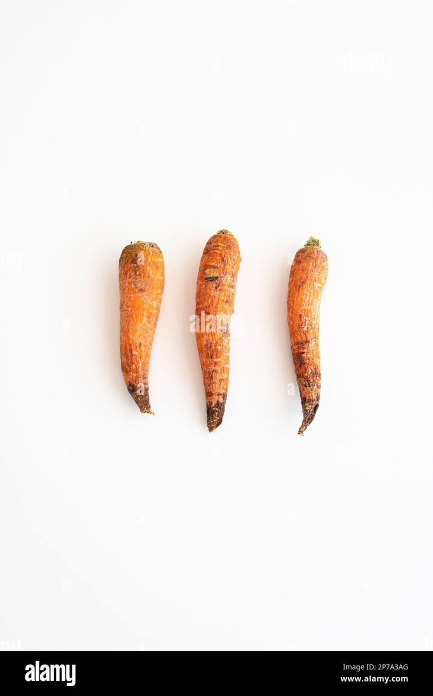 Raw spoiled carrots on white wooden table top view studio shot Stock ...