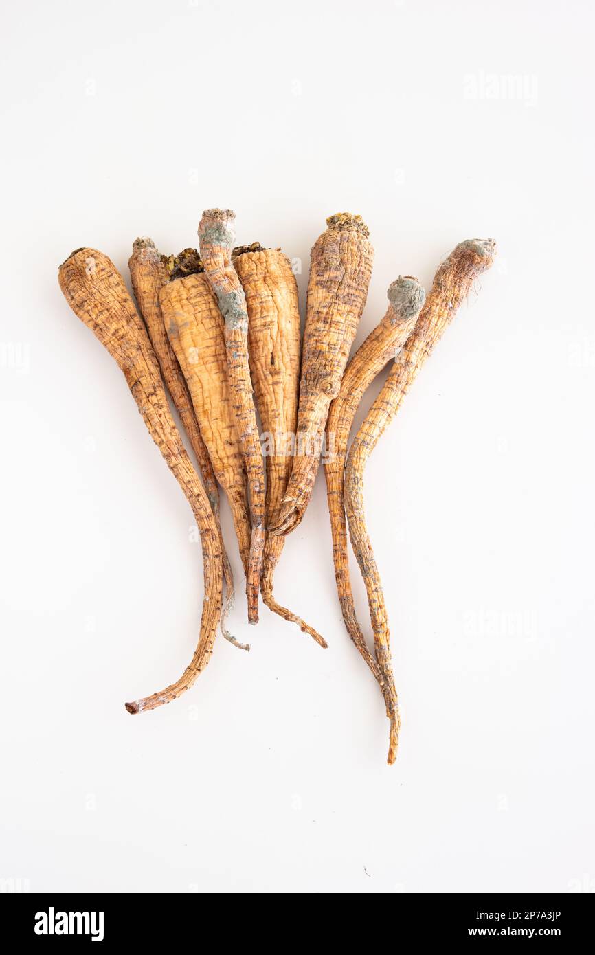 Parsley top view hi-res stock photography and images - Alamy