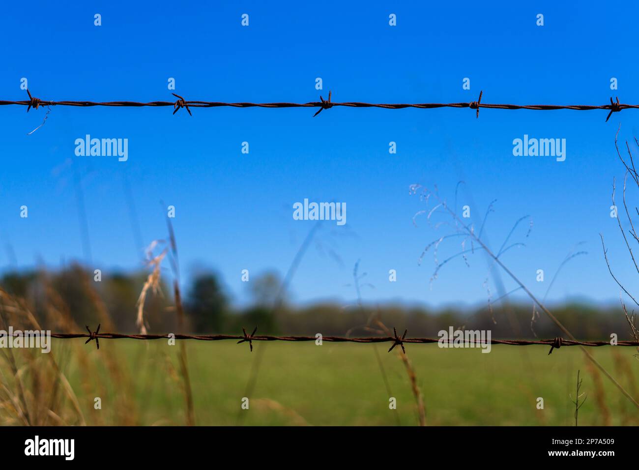 American field and wire hi-res stock photography and images - Alamy